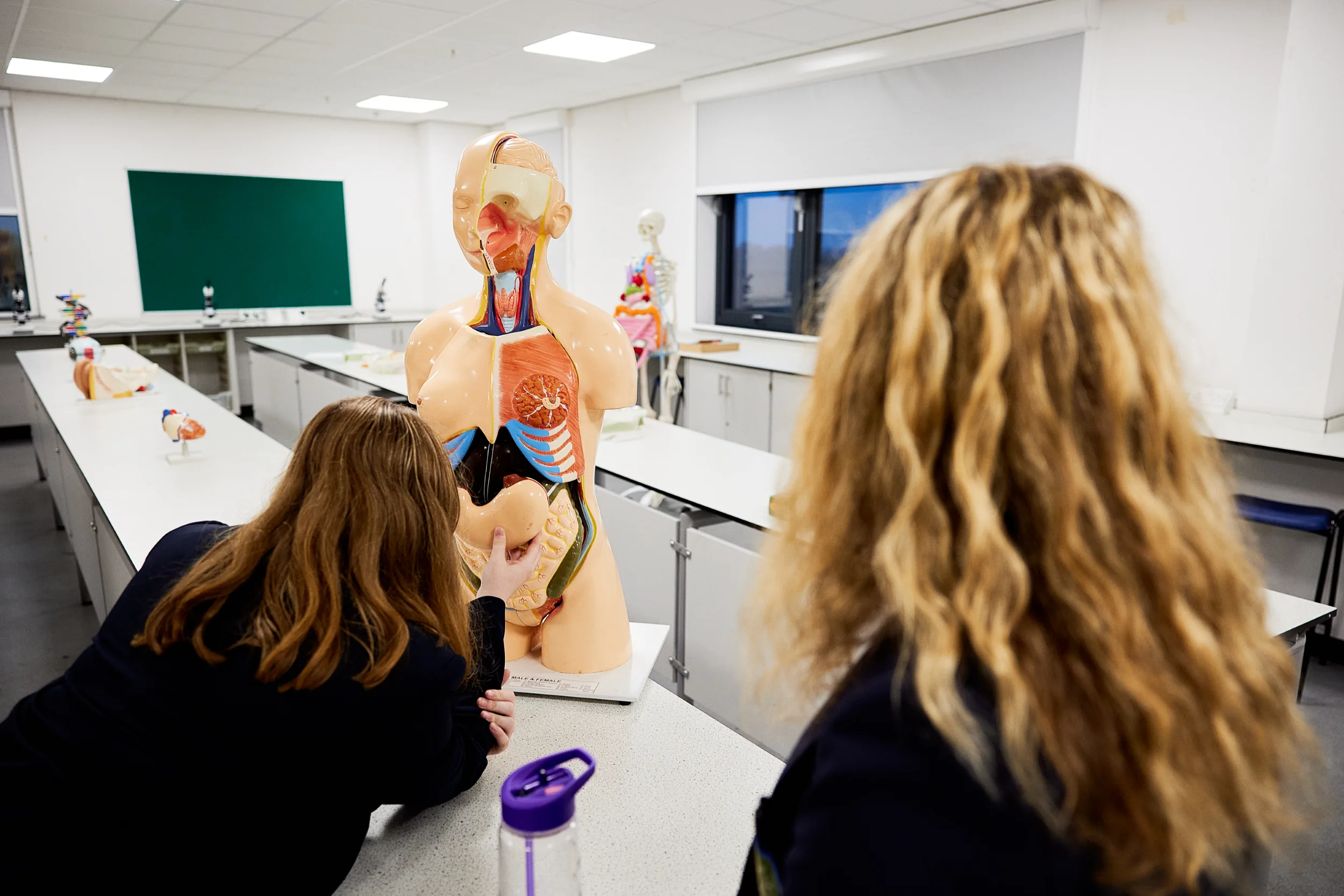 KS4 Pathways - Vista Academy Littleport